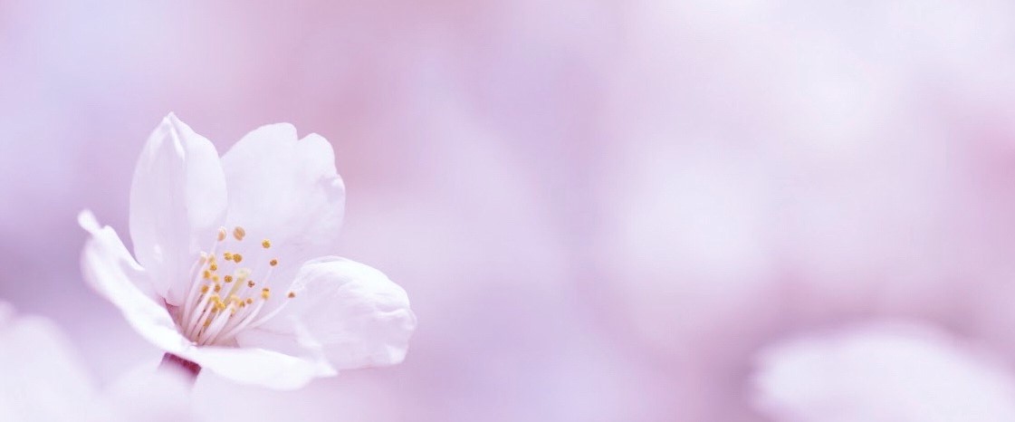 Michelle Richecoeur – Massage Therapist, Wellington